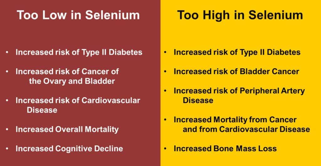 Selenium | A Beginner’s Guide (UPDATE: Jun 2018) | 14 Things You Need ... Selenium | A Beginner’s Guide (UPDATE: Jun 2018) | 14 Things You Need ...