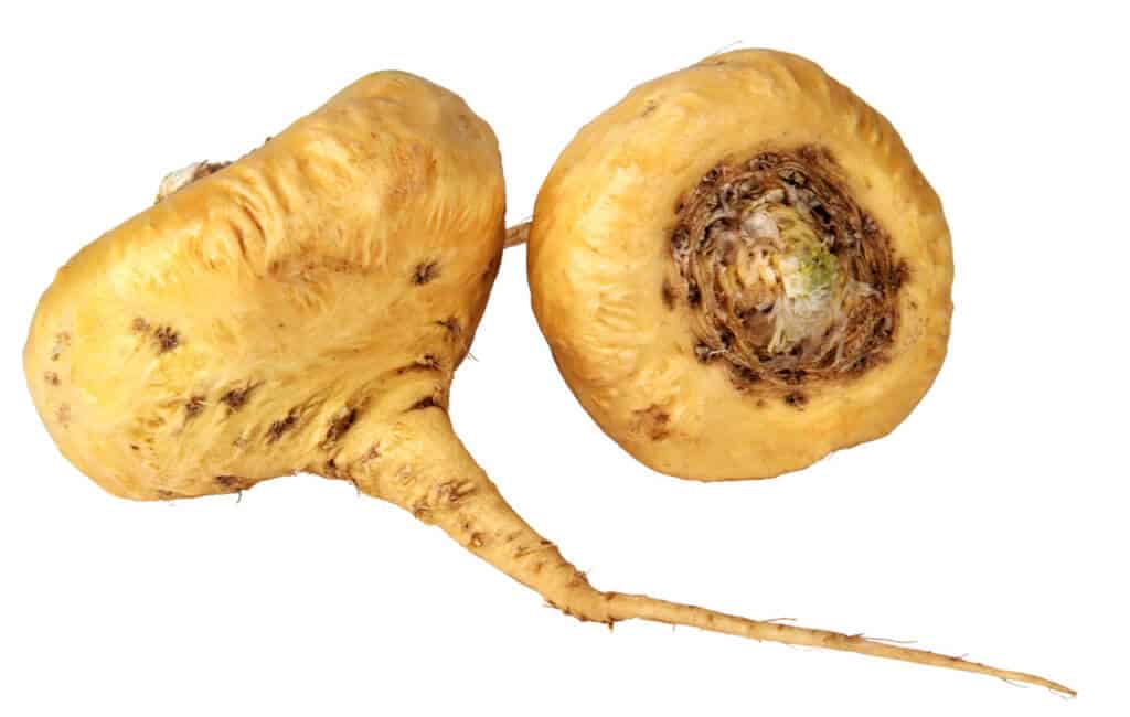 Maca Root – Benefits, Side Effects, Warnings and Interactions (UPDATE ...